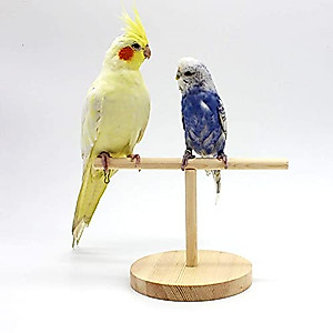 QBLEEV Bird Perch Parrot Wooden Stand，Bird Tabletop Standing Perches Play Stand Rack，Parrot Training Stick Travel Portable Pet Bird Carrier Stand for Parakeets Cockatiel Conure Budgie Lovebirds Finch