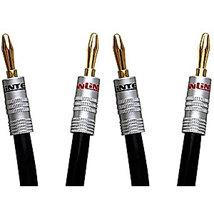 HANNLINTE 12AWG Speaker Cable Wire (2 Pack, 6 Feet) with Gold Plated Banana Plugs (OFC), 12 Gauge Speaker Banana Wire, Silver
