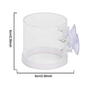 Fish Tank Suction Cup Feeder Acrylic Transparent Fish Ring Food Feeder Clear Fish Feeding Ring with Anti-Collision Strip for Aquarium Fish Tank