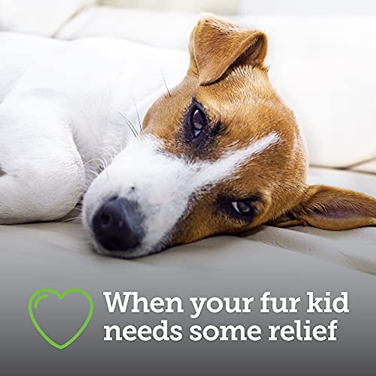 Vetality Canine Aspirin for Dogs | Fast Pain Relief | Small to Medium Dogs | Liver Flavor | 75 Chewable Tablets