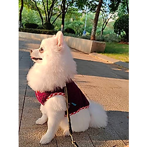 YiQ RiC Christmas Dog Clothes Dog Christmas Jacket Dog Cold Weather Coats Pet Shirts Breathable Puppy Vest Printed Christmas Snowman Reindeer Santa Claus Dog Shirts for Soft Outfit Dogs and Catst