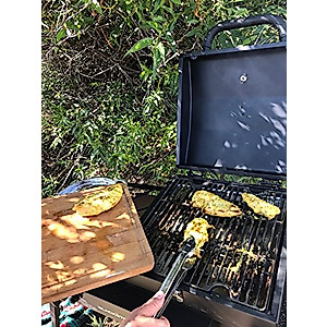 Blackstone Tailgater Stainless Steel 2 Burner Portable Gas Grill and Griddle Combo Total 35,000 BTUs for Indoor or Backyard, Outdoor, Patio, Picnic, Garden Cooking