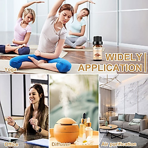 Sedbuwza Vanilla Oil Bundle with Sandalwood Essential Oil Set, 100% Pure Organic Fragrance Oil for Diffuser, Humidifier, Soap, Candle, Perfume