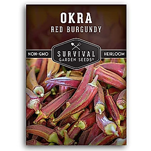 Survival Garden Seeds - Red Burgundy Okra Seed for Planting - Packet with Instructions to Plant and Grow Tender Burgundy Okra Pods in Your Home Vegetable Garden - Non-GMO Heirloom Variety