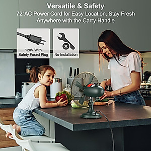 AMACOOL Oscillating Vintage Fan, All Metal Retro Table Top Fan, Adjustable Head Tilt, Quiet 3 Speeds Plug-In Desk Fan for Bedroom Home Office & Kitchen