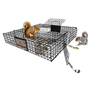 Predator Guard Squirrel Guard Trap - Humane Multi-Catch Trap, Attracts & Catches Multiple Squirrels in 1 Trap - Perfect for Indoor and Outdoor Use - Effective Squirrel Control to Protect your Property
