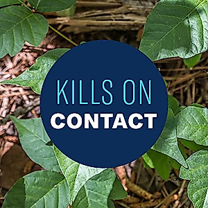 BioAdvanced Brush Killer Plus, Ready-to-Use, 1 Gal – Kills Tough Brush Roots & All, Kills Poison Ivy