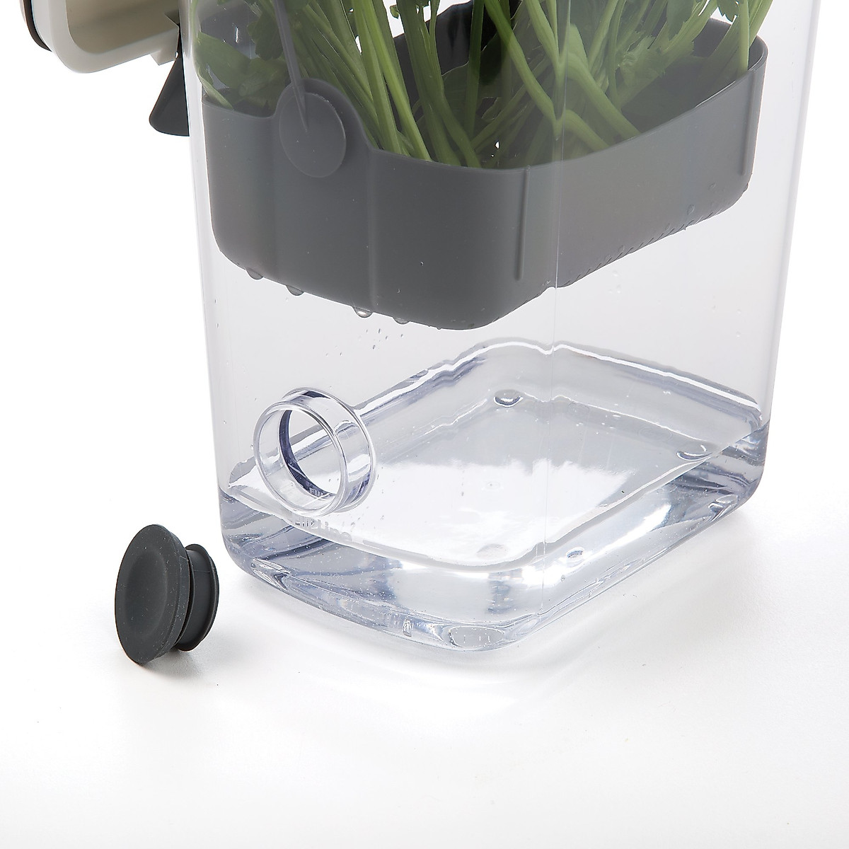 Progressive International PKS-930 BPA-Free Plastic ProKeeper Herb Keeper with Removable Silicone Drain Plug, 1 Piece, White