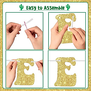 kreat4joy Desert Disco Bachelorette Party Decorations, Desert Party Decorations Banners Garland for Girl Cactus Bridal Shower Decorations Bachelorette Wedding Engagement