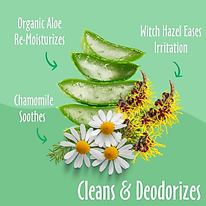 earthbath, Dog Ear Wipes - Gentle Dog Ear Cleaner, Best Pet Wipes for Dogs & Cats, Made in USA, Cruelty-Free Dog Wipes, Keep Your Pet's Ears Naturally Clear & Infection Free - 25 Count (1 Pack)