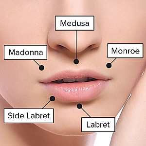 Evonix 7pc 16g 10mm Labret Studs Lip Ring Snake Spider Bite Forward Helix Monroe Dahlia Inner Conch Surgical Steel Rainbow 4mm Ball