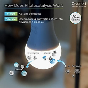 Qivation TiO2 E26 Smart LED Light Bulb 8W 800lm with 24/7 Air Purification, BLT+WiFi Smart Bulb, RGB Full Color, Compatible with Alexa & Google Assistant, No Hub Required