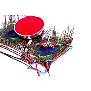 Ruci Store Fancy Silver Turtle Rakhi for Brother Raksha Bandhan Casting Metal Rakhi Lucky Charm Bracelet