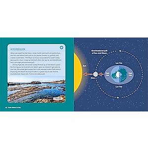 Ocean Animals for Kids: A Junior Scientist's Guide to Whales, Sharks, and Other Marine Life