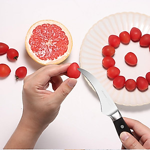 LAZIOPATER Bird Beak Paring Knife, Curved Paring Knives, German Stainless Steel, Peeling Knife, 3 Stainless Steel Rivet-Fastened Handles, Small Kitchen Knife Curved Blade, Gift Box