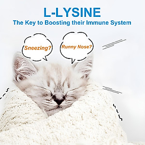 L-Lysine Powder for Cats, Lysine Supplement for Cats, Support Immune System, Respiratory Health & Visual Function and Allergy Relief, Pets Health Supplies Multivitamins, Salmon Flavor - 4.23 oz / 120g