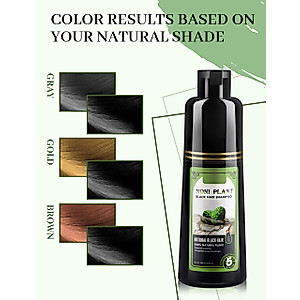 Black Hair Shampoo, Good Applicability White Hair Removal Dye Hair Coloring Shampoo Instant Hair Dye Shampoo for Men and Women 250ml (250mL)