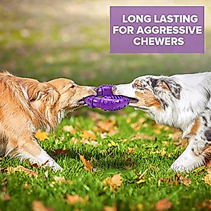 Feeko Dog Chew Toys for Aggressive Chewers Large Breed, Natural Rubber Indestructible Dog Toys, Tough Durable Puppy Chew Toy for Medium Large Dogs - Fun to Chew, Chase and Fetch(Purple)