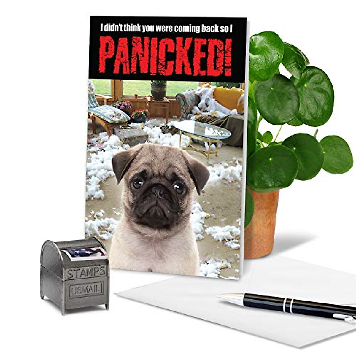 NobleWorks - 1 Cute Birthday Card with Envelope - Funny Wild Animals and Pets, Birthday Greeting - Dog Panicked C2233BDG