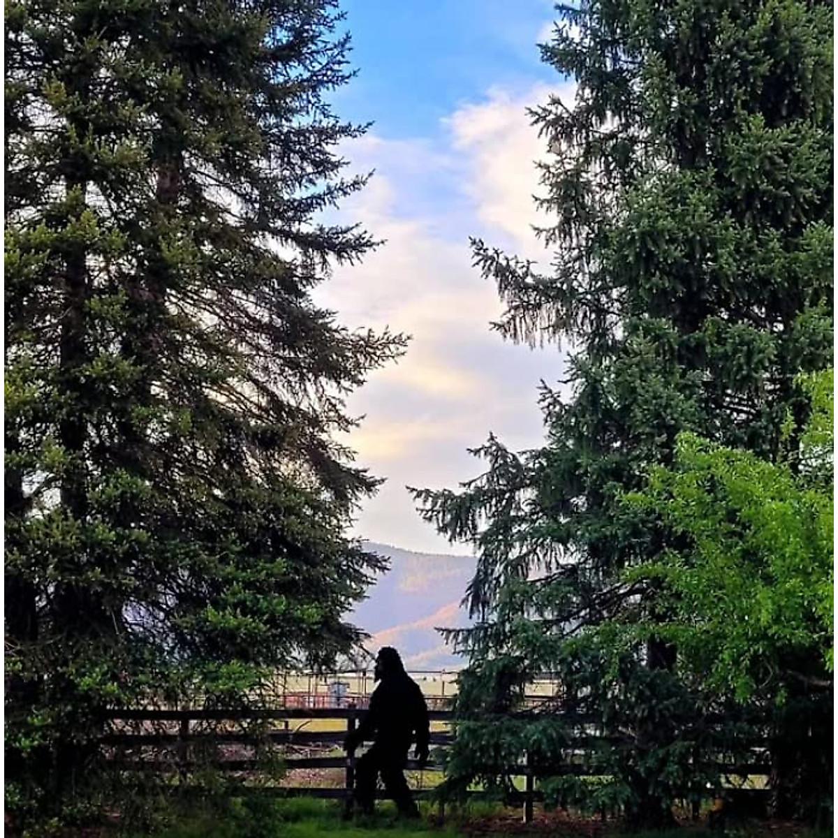 Big Foot Yard Display Over 7ft Tall!!!