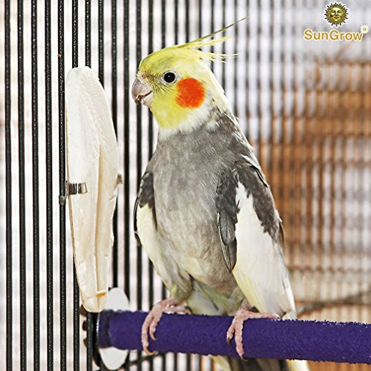 SunGrow 4 Pack Cuttlefish Bones for Cockatiels, Turtles, Shrimp, Dog Calcium Supplement, Cuttlebone Cage Holder Included