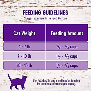 Wellness Complete Health Natural Dry Cat Food with Wholesome Grains, Made in USA with Real Meat (Adult, Salmon & Salmon Meal Recipe, 5-Pound Bag)