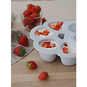 Beaba Multiportions Silicone Baby Food Storage Container, Baby Food Containers, Food Storage Container, Snack Containers, Baby Essentials, Oven and Freezer Safe, 5 oz, Cloud