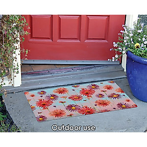 Toland Home Garden 800542 Flower Power Spring Door Mat 18x30 Inch Flower Outdoor Doormat for Entryway Indoor Entrance