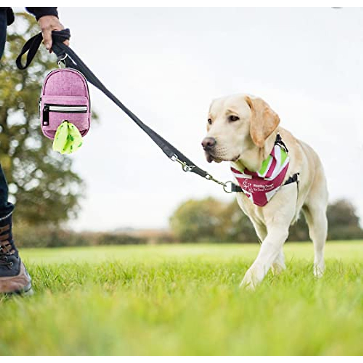SUNNQ Dog Poop Bag Holder for Leashes, Dog Poop Bag Dispenser with Clip for Leash and Belt, Dog Treat Pouch for Training, Dog Waste Bag Holders for Walking Hiking Running Travel(Purple)