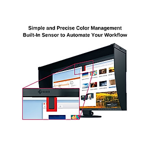 Eizo ColorEdge CG319X 31.1" Wide Screen Hardware Calibration IPS LED 4K Monitor, 4096x2160