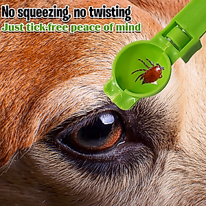 Tick-It-Off Quick Tick Remover Tool - Safely Removes Ticks and Protect Your Loved Ones, Green