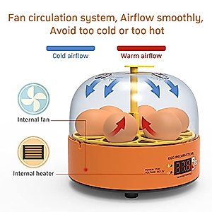 ayakol Small 6 Egg Incubator with External Lever Egg Turner,Temperature Control, Humidity Control, Led Candler, Hatcher for Chicken Duck Pigeon Quail Parrot，360 Degree View…