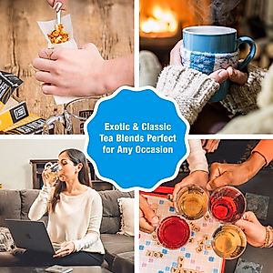 Tiesta Tea - Loose Leaf Kit | Premium Starter Kit Sampler | High to Non Caffeinated | Make Hot & Iced Brews | Starter Set with Black, Green, Herbal Sample Bags and 100 Disposable Tea Filters