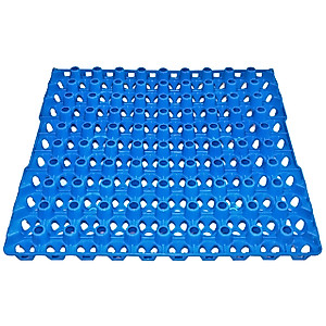 6 RITE FARM PRODUCTS 90 Egg Plastic Trays for Quail Pigeon Dove Bird Flat Carton