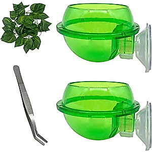 MUYG Chameleon Feeding Bowl with Suction Cup,Reptiles Feeder Water Bowls Anti-Escape Worm Live Fodder Translucent Container Ledge Dish Supplies for Lizard Bearded Dragon Gecko Snake(4Pcs)