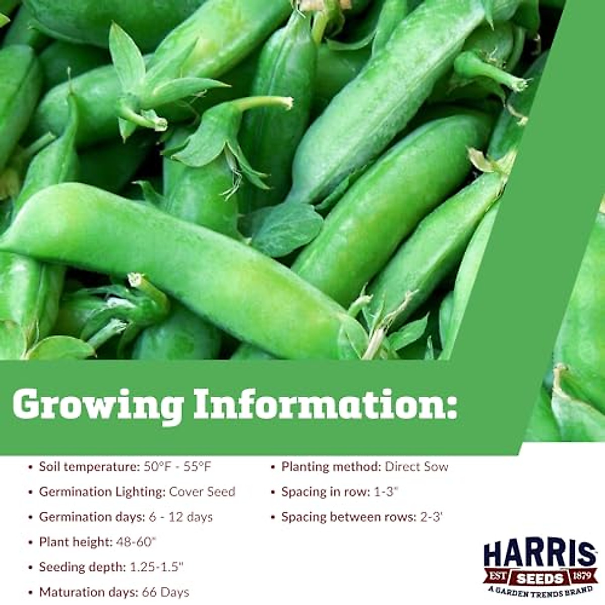 Garden Trends - Pea Seeds - Super Sugar Snap - Non-GMO Vegetable for Outdoor Planting Home Garden - Long Vines - Dark Green Pods - Flat, Sweet Berries - 0.5 Lbs