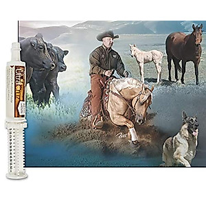 UltraCruz Livestock Probiotic Supplement, 60 ml, Paste (4 Day Supply)