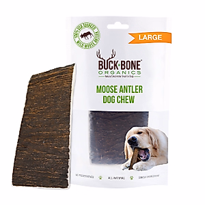 Buck Bone Organics Dog Chews, Moose Antlers for Dogs, Long Lasting Dog Bones for Aggressive Chewers, All Natural, No Preservatives, Wild Shed in The USA (Large)