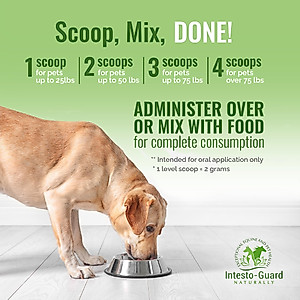 Powder Probiotics 90 Scoops​ for Dogs & Cats Bowel Digestive Immune Support Supports Gut Flora Nutrition Immunity 180G Bottle - 90 Scoops​ (Powder)