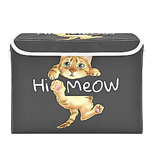 DOMIKING Funny Cat Large Storage Bin with Lid Collapsible Shelf Baskets Box with Handles Closet Organizer for Clothes Toy Gift Storage