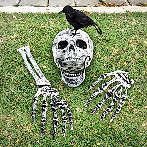Skeleton Stakes with Crows - Scary Outdoor Halloween Yard Lawn Decorations, Groundbreakers for Skull Garden Graveyard Decor