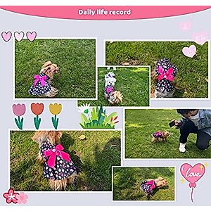 MSNFOASM 4pcs-New Spring Summer Puppy Dog Dress,Cute Colored Sun Flower Dog Bow Skirt for Small Girl Dogs(Floral,M)
