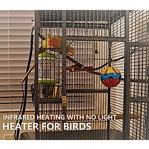 SYSAI Smart Pet Heater with Auto Temperature Control, for Bird, Turtle, Snakes, Lizard, Frogs, Chicks, Cat, Anti-bite Power Cord Protector (Large_100W)