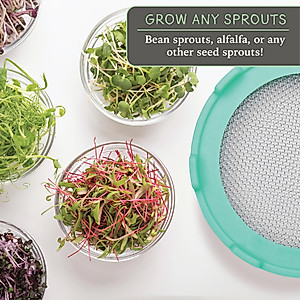 Elementi Sprouting Lids for Wide Mouth Mason Jars (Set of 2), Sprouting Jar Kit for Organic Sprouts, Alfalfa & Mung Bean Sprouts Grow Kit, 316 Stainless Steel Mesh Screen Strainer Lid (Mint Green)