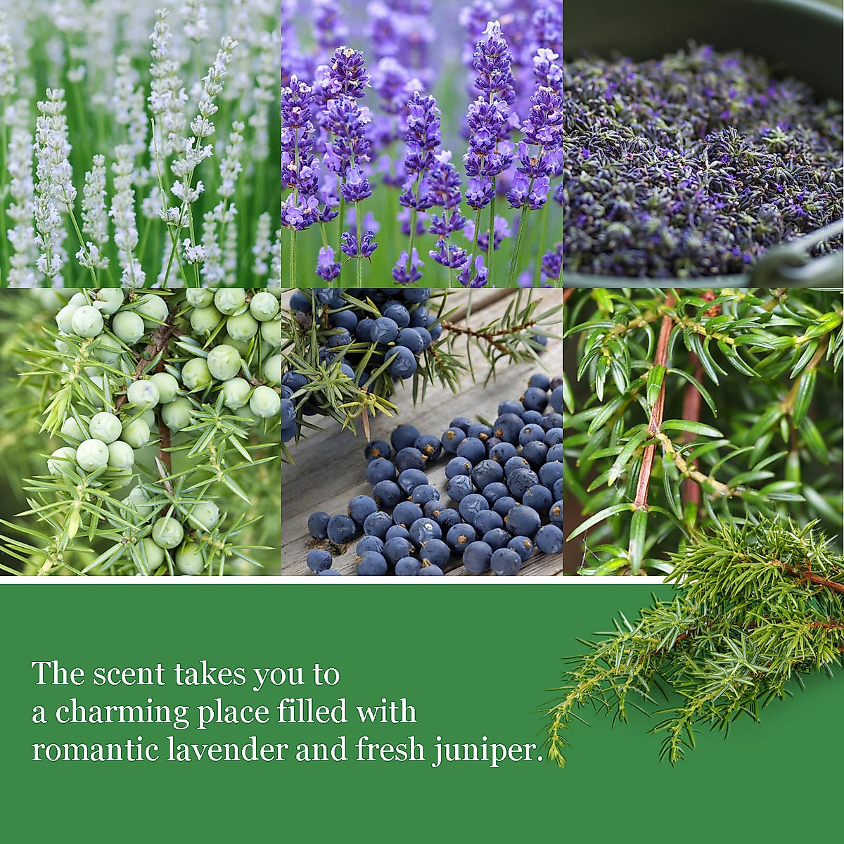 Birthday Gifts for Men Dad Boyfriend Him Husband Brother Best Friend Birthday Gift Ideas, Funny Gag Gifts 65th 30th 75th 60th 40th 50th Birthday Gifts for Men, Happy Birthday Candles Mens Gifts