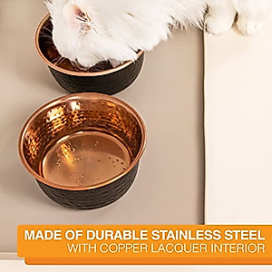 Neater Pet Brands Hammered Decorative Designer Bowls - Luxury Style Premium Dog and Cat Dishes (Small, Black Copper)
