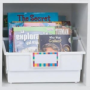 4-Pack Single-Color Picture Book Classroom Library Bins™ with Dividers