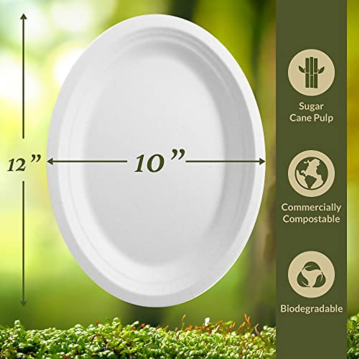Reli. Compostable Oval Paper Plates, 12 Inch (125 Count) | White, Large Paper Plates | Heavy Duty, Disposable | Disposable Platters (12x10) | Made of Sugarcane Fibers, Bagasse- Biodegradable
