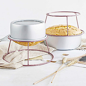 DOITOOL 2Pcs Bread Cooling Rack Stainless Steel Non Stick Cooking Stand Cookies Cakes Drying Rack Bread Storage Holder Baking Supplies Rose Gold