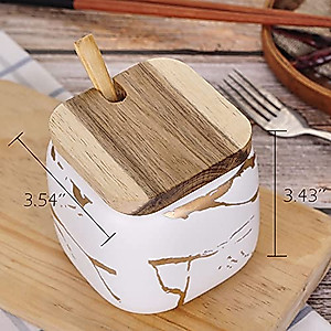 VanEnjoy Decorative Marble Inlay Glaze Ceramic Sugar Spice Containers Porcelain Jar with Bamboo Lid and Spoon Condiment Jar for Home